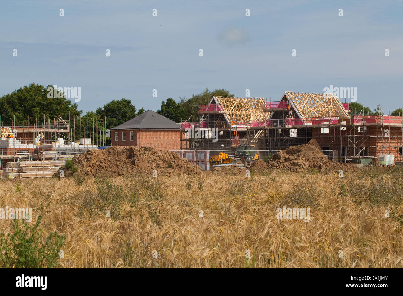 Expansion of homo sapiens hi-res stock photography and images - Alamy