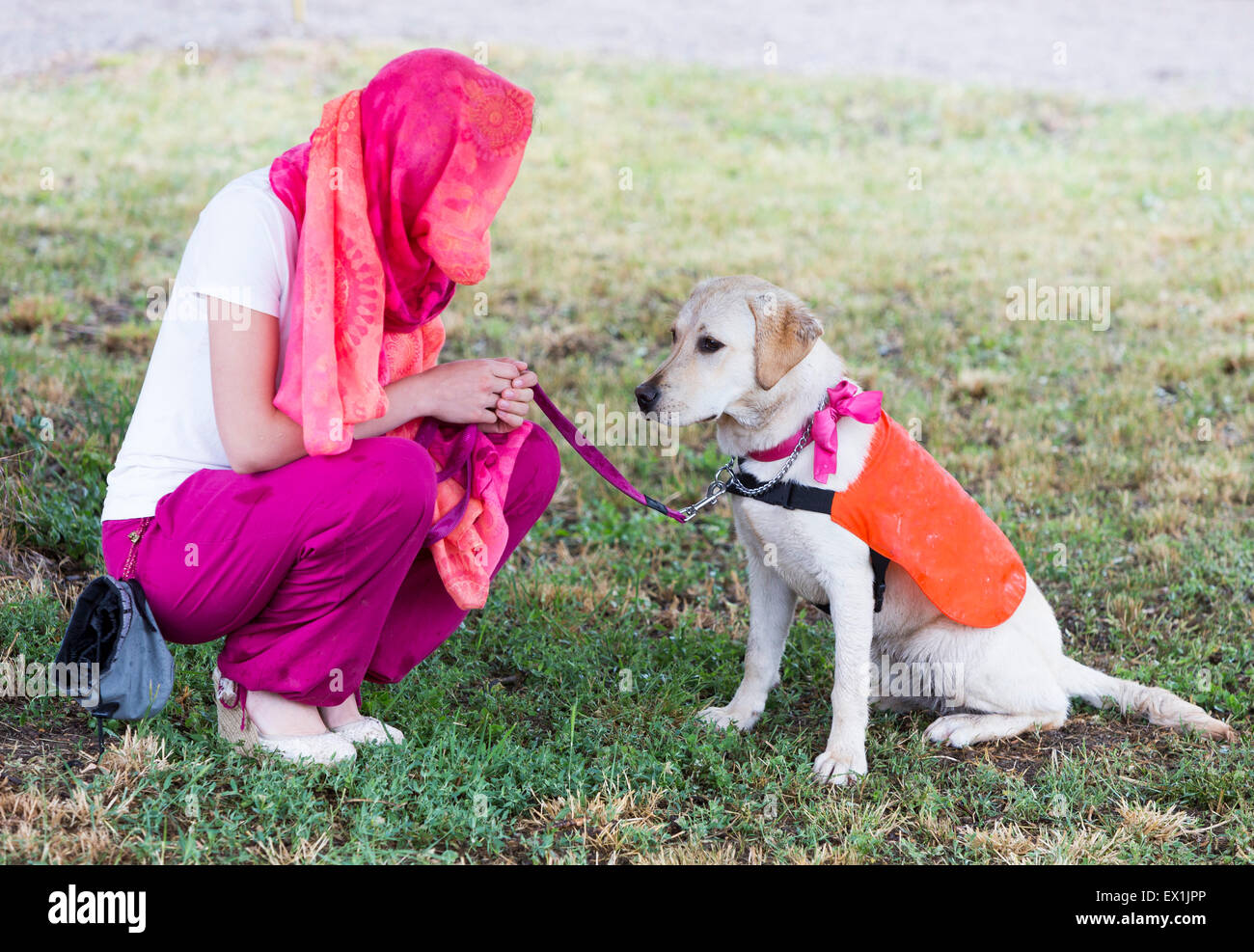 A trainer is standing beside a golden retriever guide dog during the ...