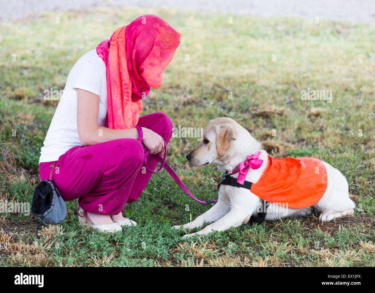 Guide dog puppy with trainer hi-res stock photography and images - Alamy