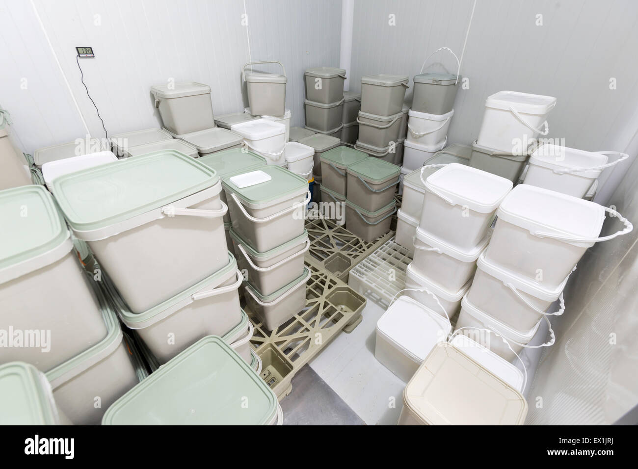 Buckets with cheese in a small family creamery. The dairy farm is ...