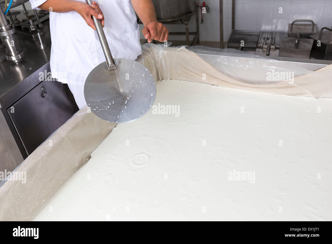 A woman working in a small family creamery is showing the process of ...