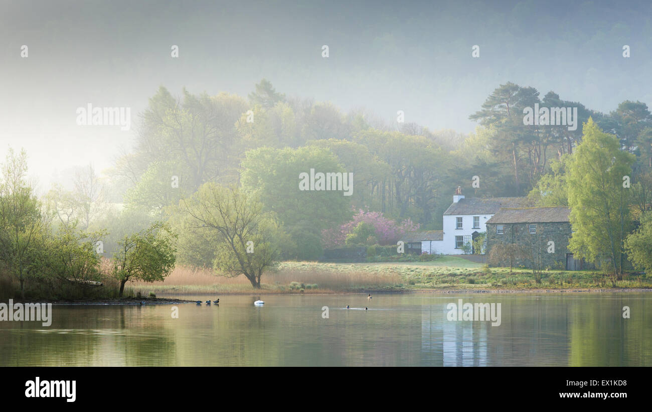 Mist farm house cumbria hi-res stock photography and images - Alamy