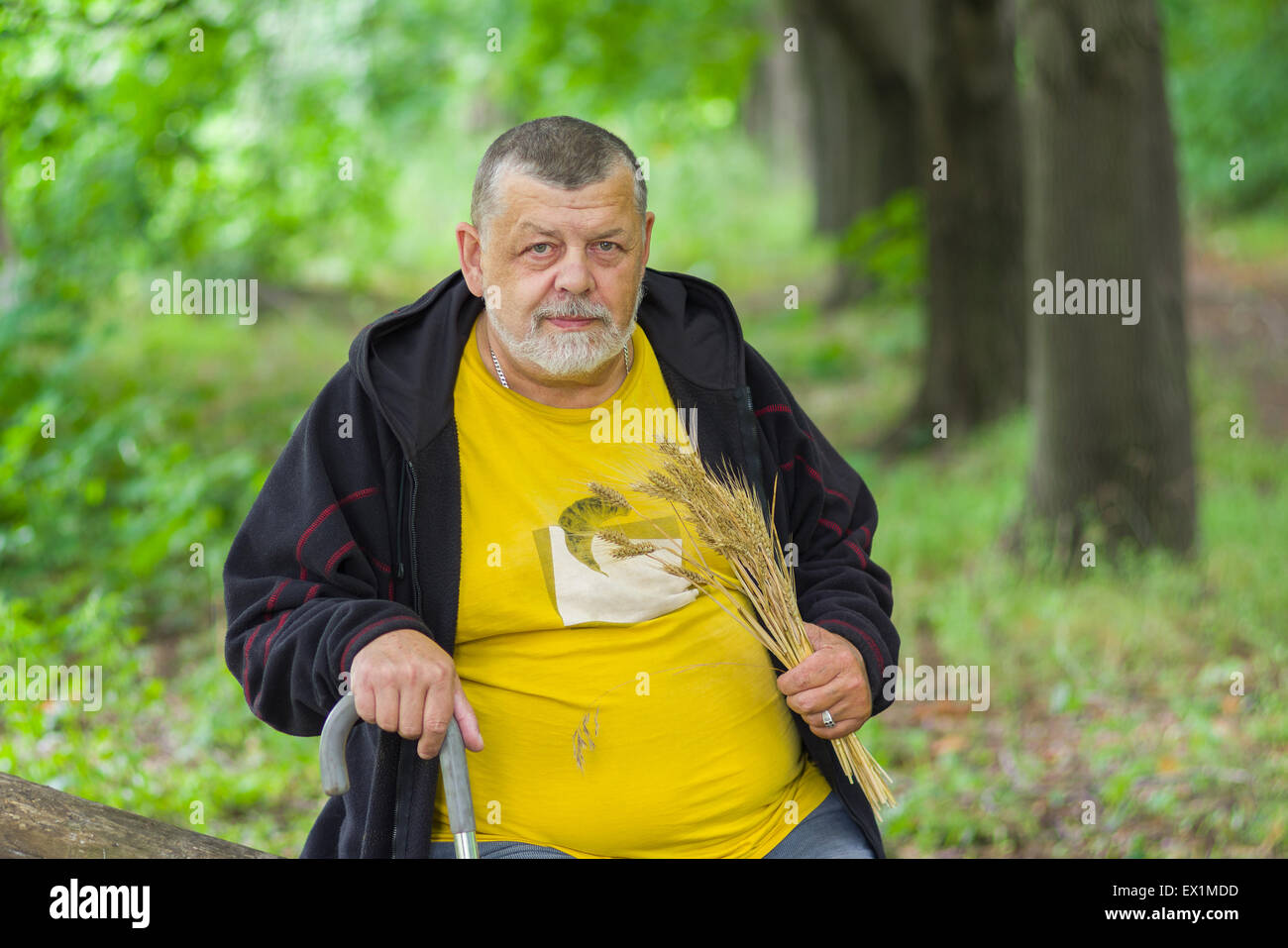 Outdoor portrait of senior man under tree shadow Stock Photo - Alamy