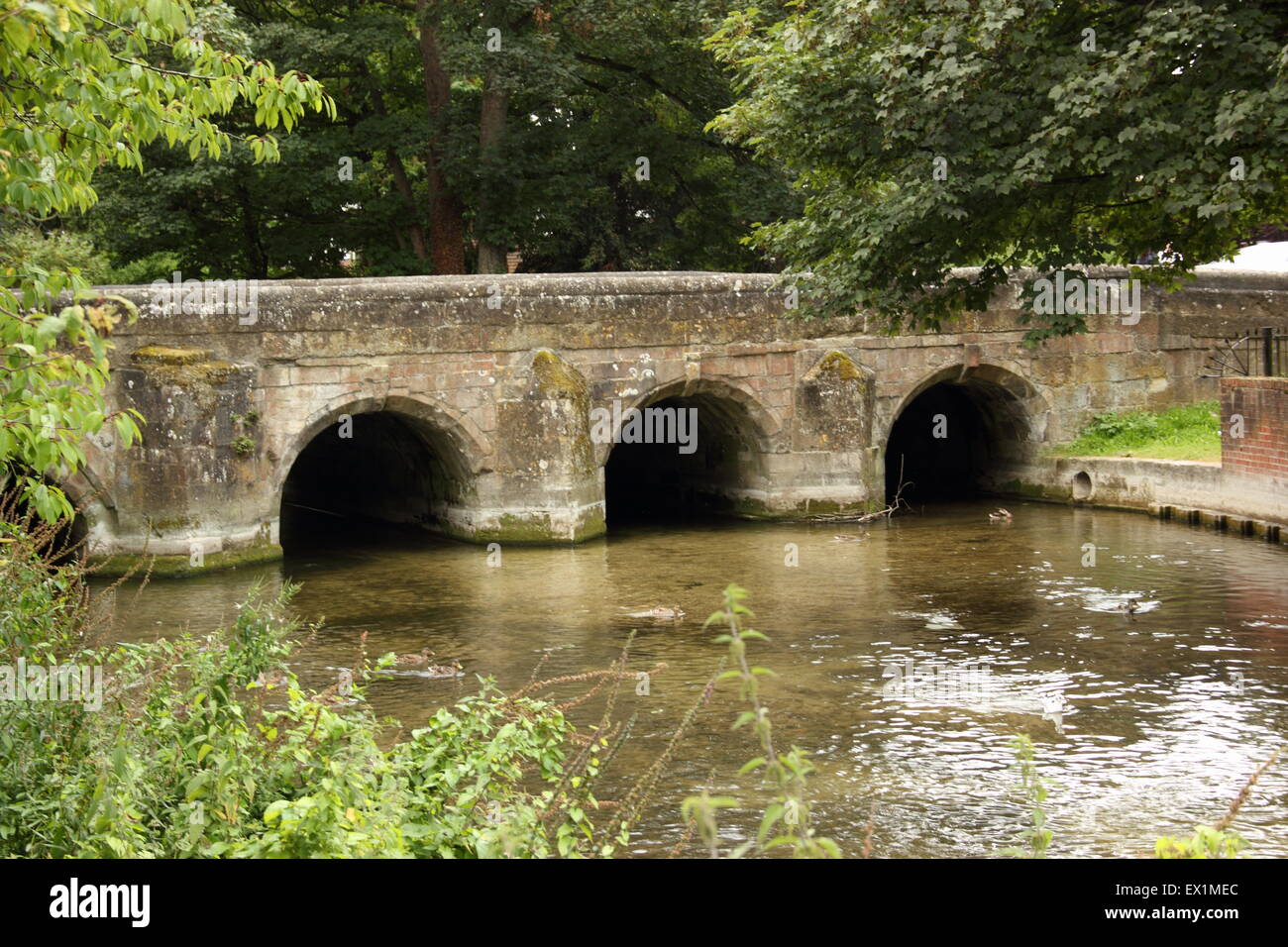 River salisbury hi-res stock photography and images - Alamy