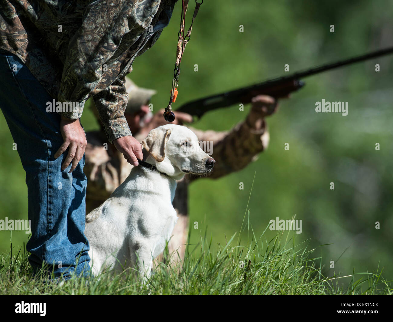 Field trial hi-res stock photography and images - Alamy