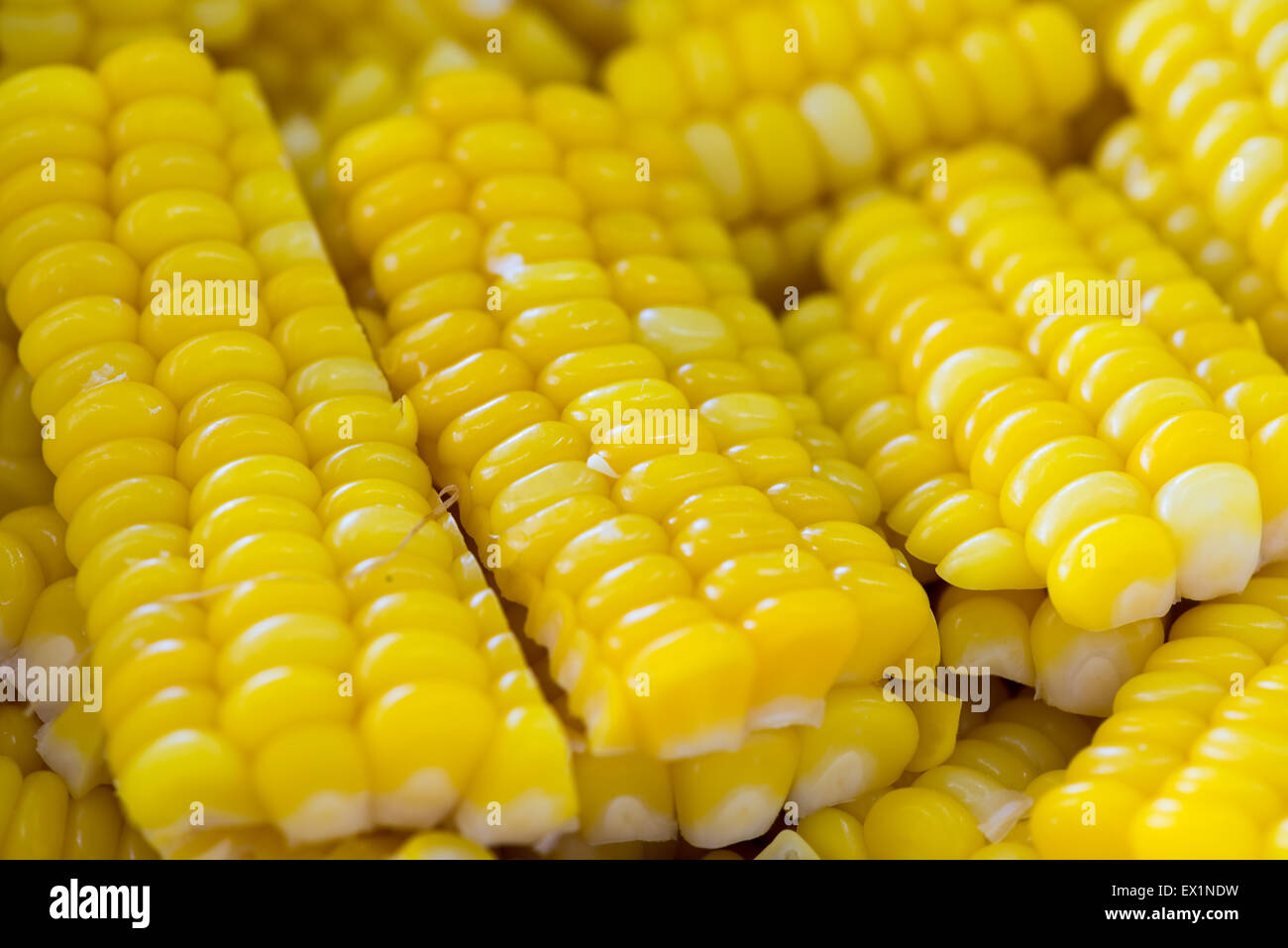 Sliced Steamed Corn Stock Photo - Alamy