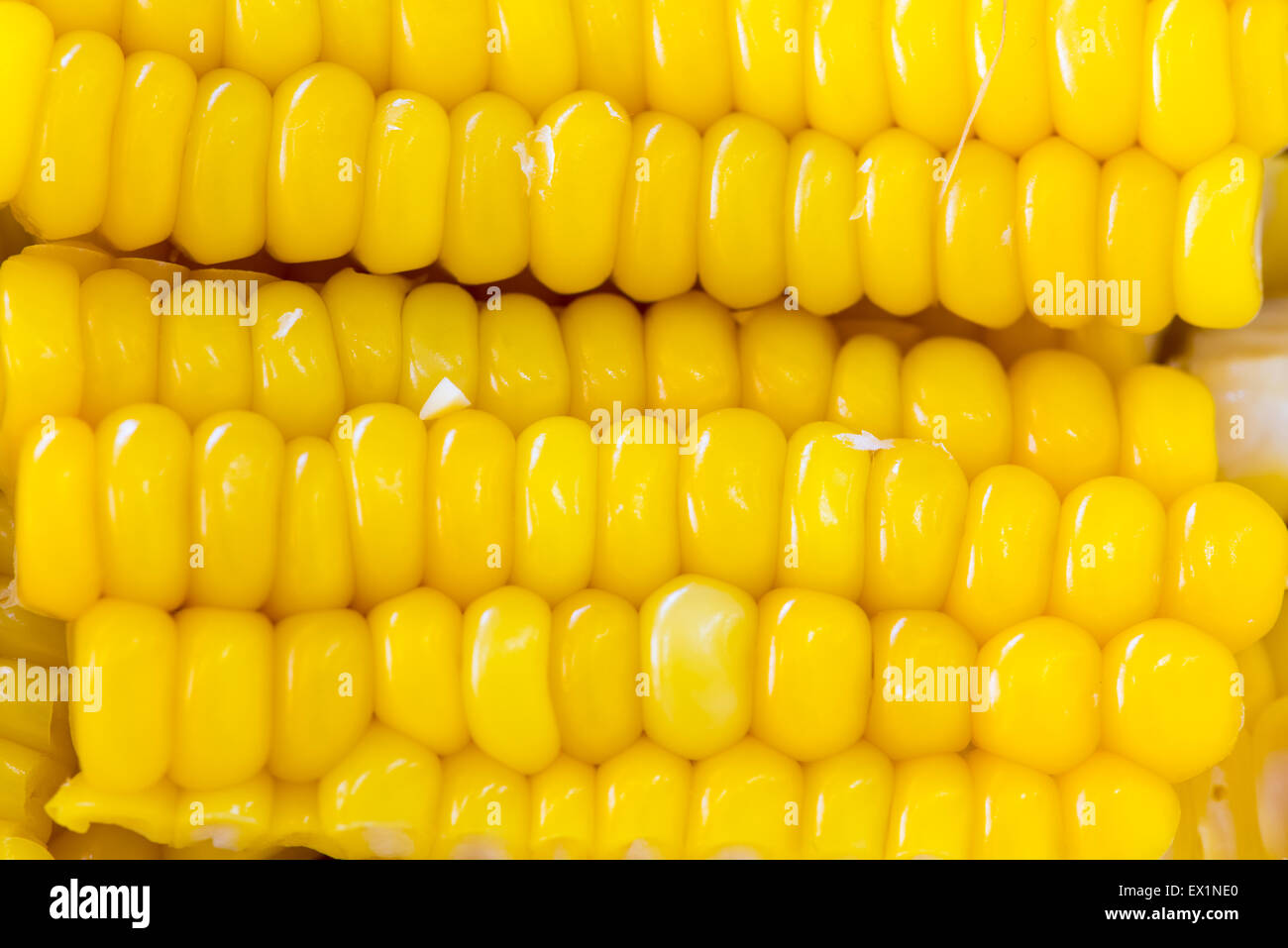 Sliced Steamed Corn Stock Photo - Alamy
