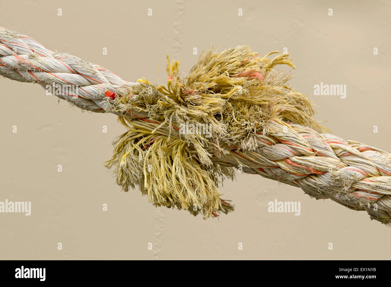 Worn and frayed rope, part of a trawler, in the harbor of IJmuiden ...