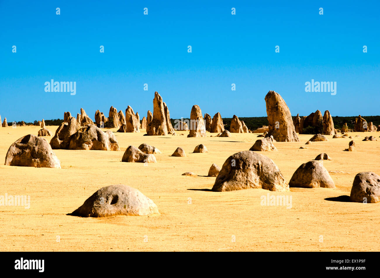 The Pinnacles - Australia Stock Photo - Alamy