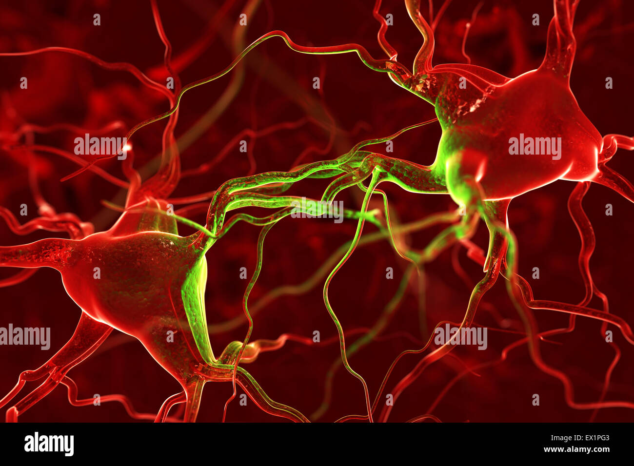 Nerves hi-res stock photography and images - Alamy