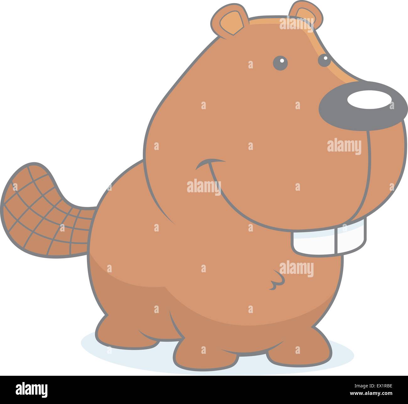 A happy cartoon baby beaver standing and smiling Stock Vector Image ...