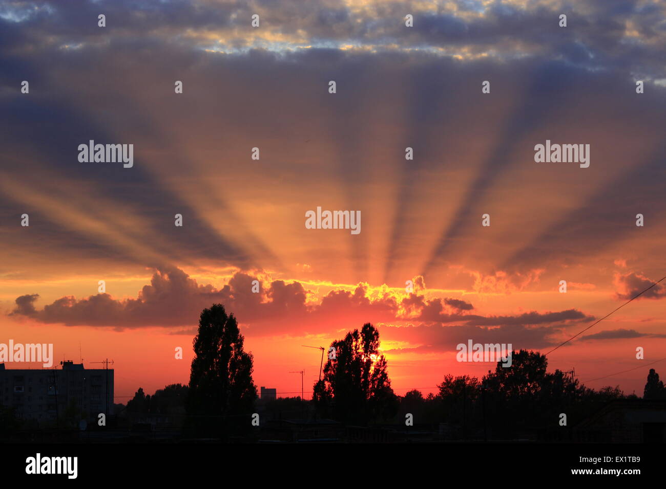 Beautiful late summer discovery hi-res stock photography and images - Alamy