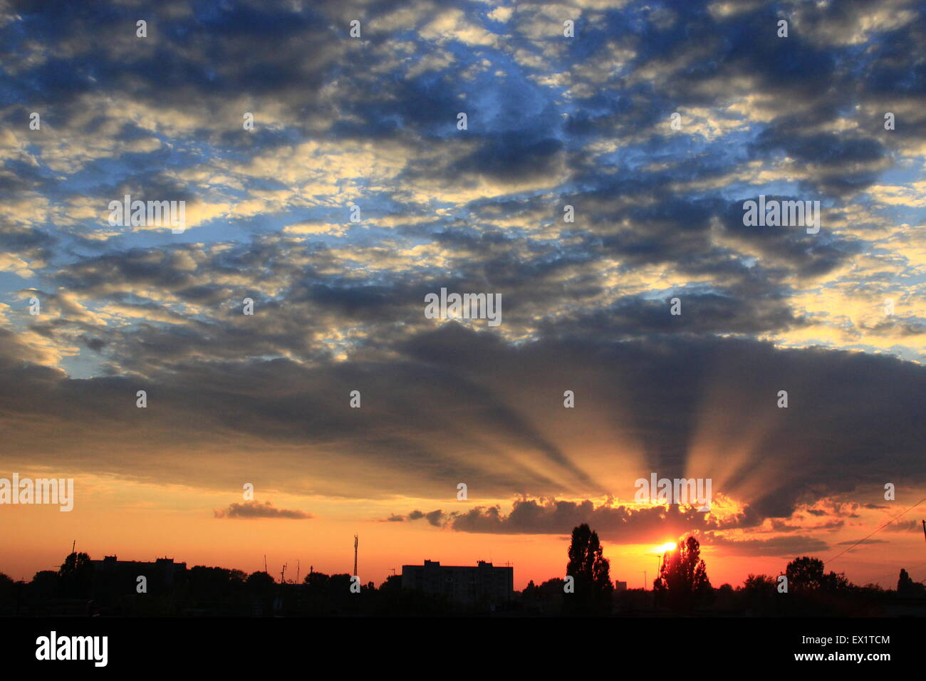 dark beautiful summer sunset above the trees Stock Photo - Alamy