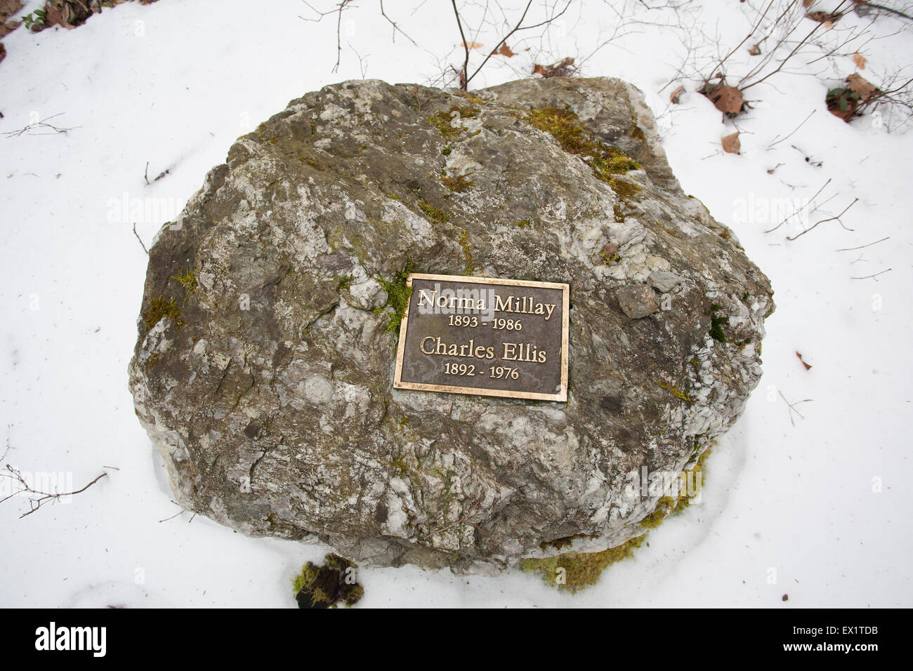The graves of Norma Millay and Charles Ellis are near the grave of Edna ...