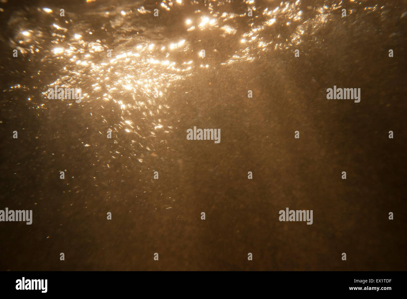 Shafts of sunlight pour through the surface of a turbulent stream in ...