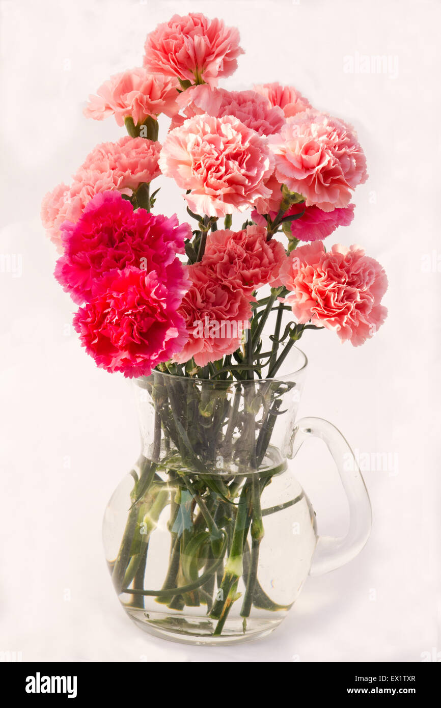 White Carnation Flower Vase