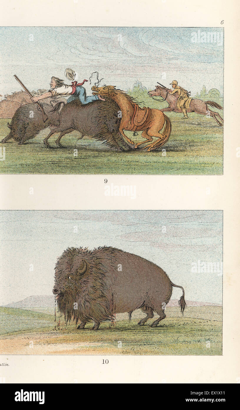 Native american hunting bison High Resolution Stock Photography and ...