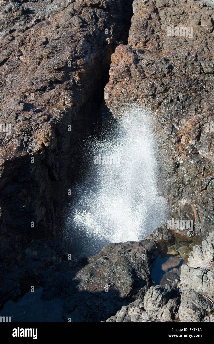Kiama blowhole hi-res stock photography and images - Alamy