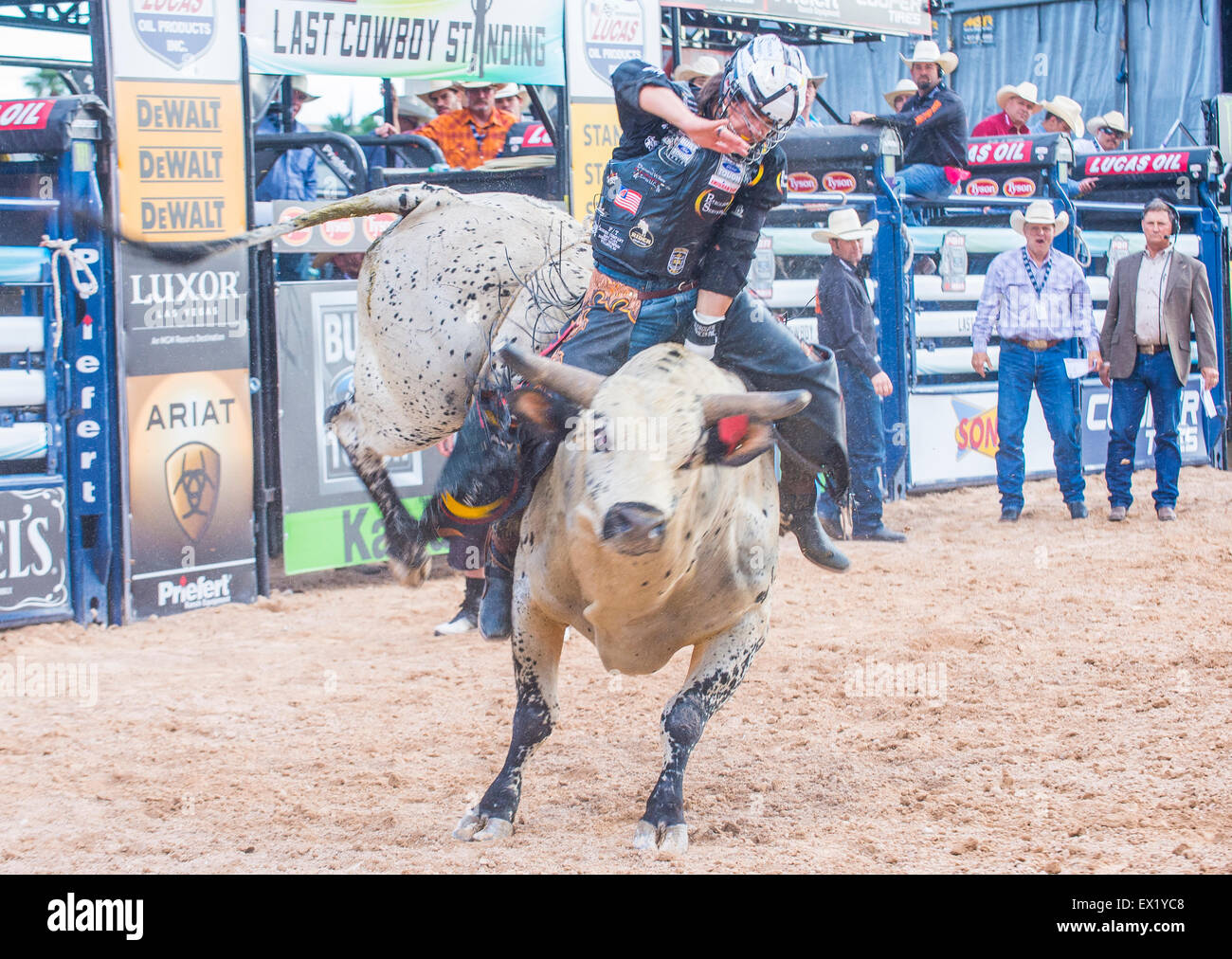 Cowboy Participating in a Bull riding Competition at the Las Cowboy ...