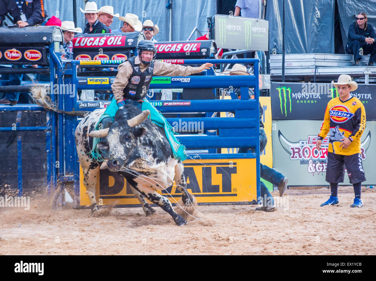 Cowboy Participating in a Bull riding Competition at the Las Cowboy ...