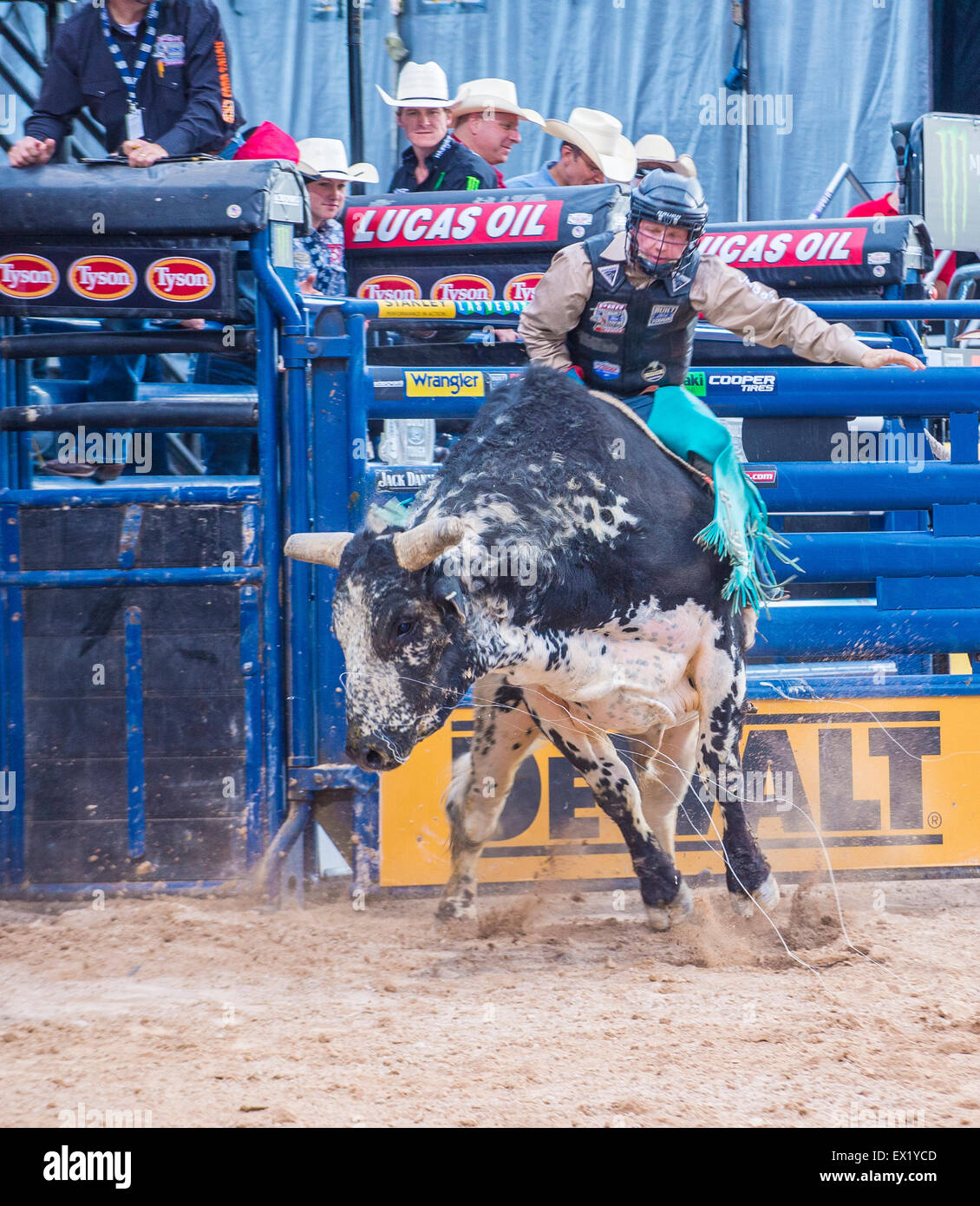 Cowboy Participating in a Bull riding Competition at the Las Cowboy ...