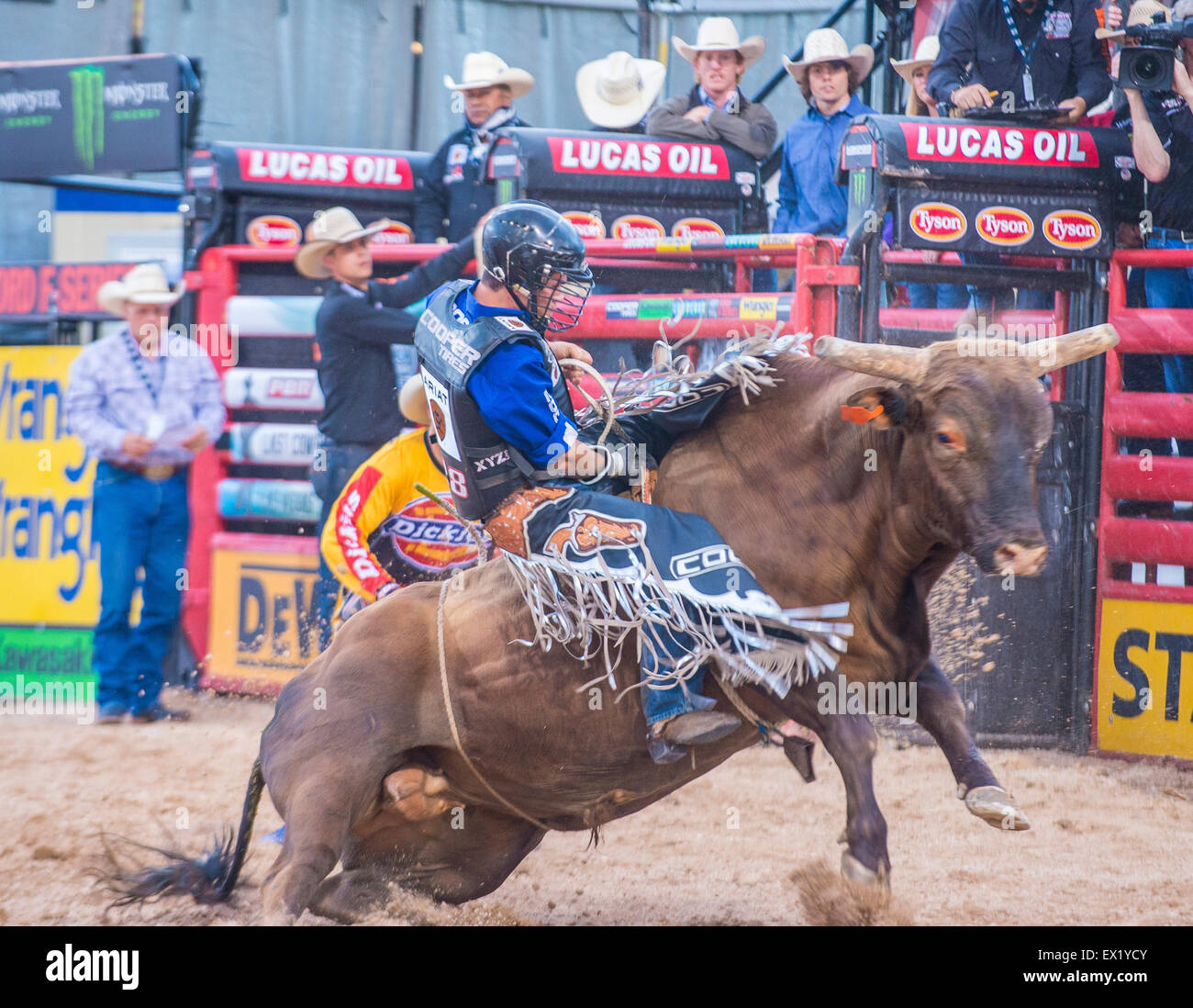 Cowboy Participating in a Bull riding Competition at the Las Cowboy ...