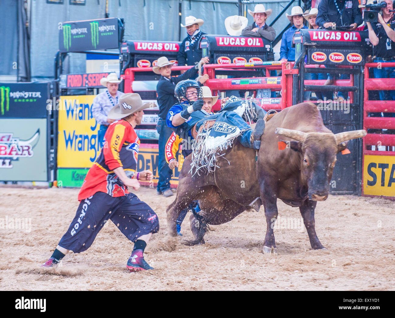 Cowboy Participating in a Bull riding Competition at the Las Cowboy ...