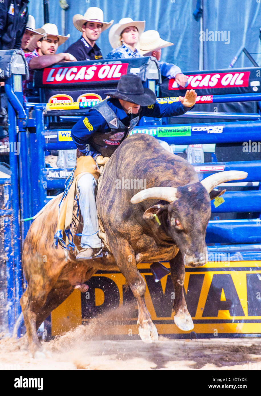 Cowboy Participating in a Bull riding Competition at the Las Cowboy ...