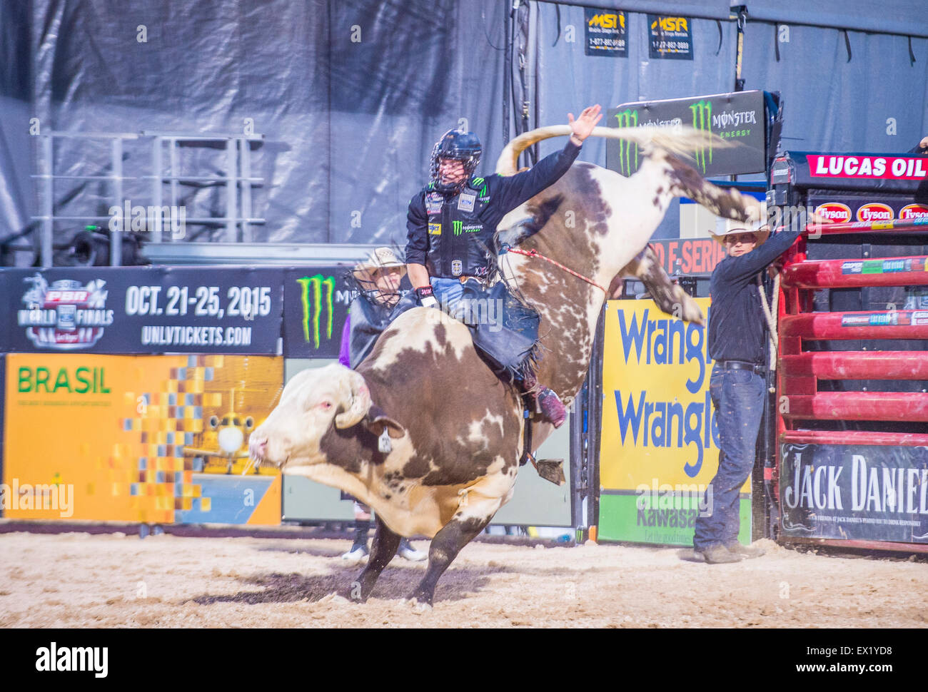 Cowboy Participating in a Bull riding Competition at the Las Cowboy ...