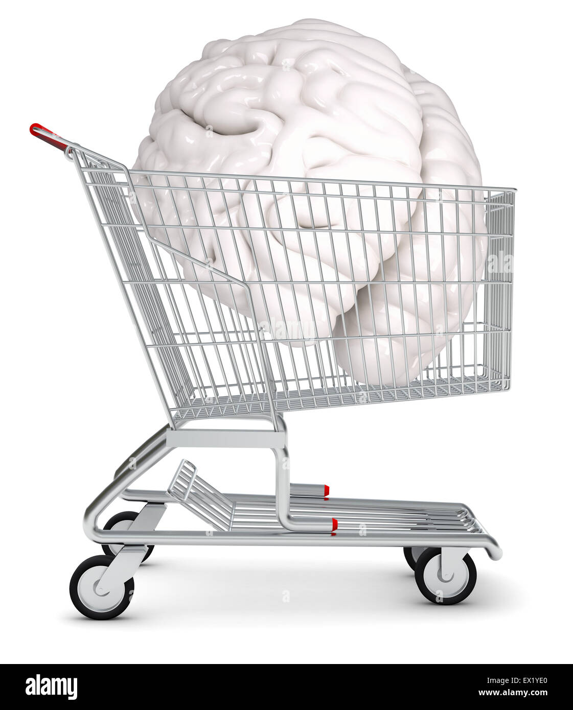 Human brain in shopping cart Stock Photo - Alamy