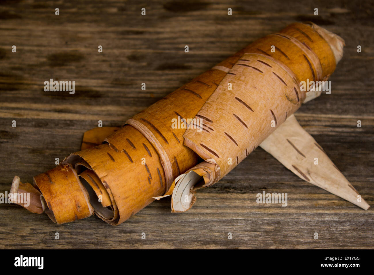 Birchs bark hi-res stock photography and images - Alamy