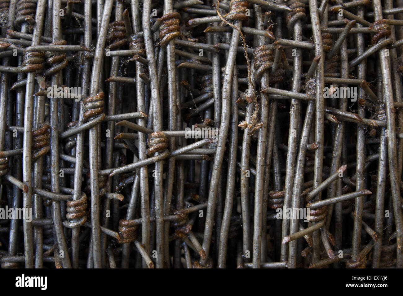 Barbed wire background Stock Photo - Alamy