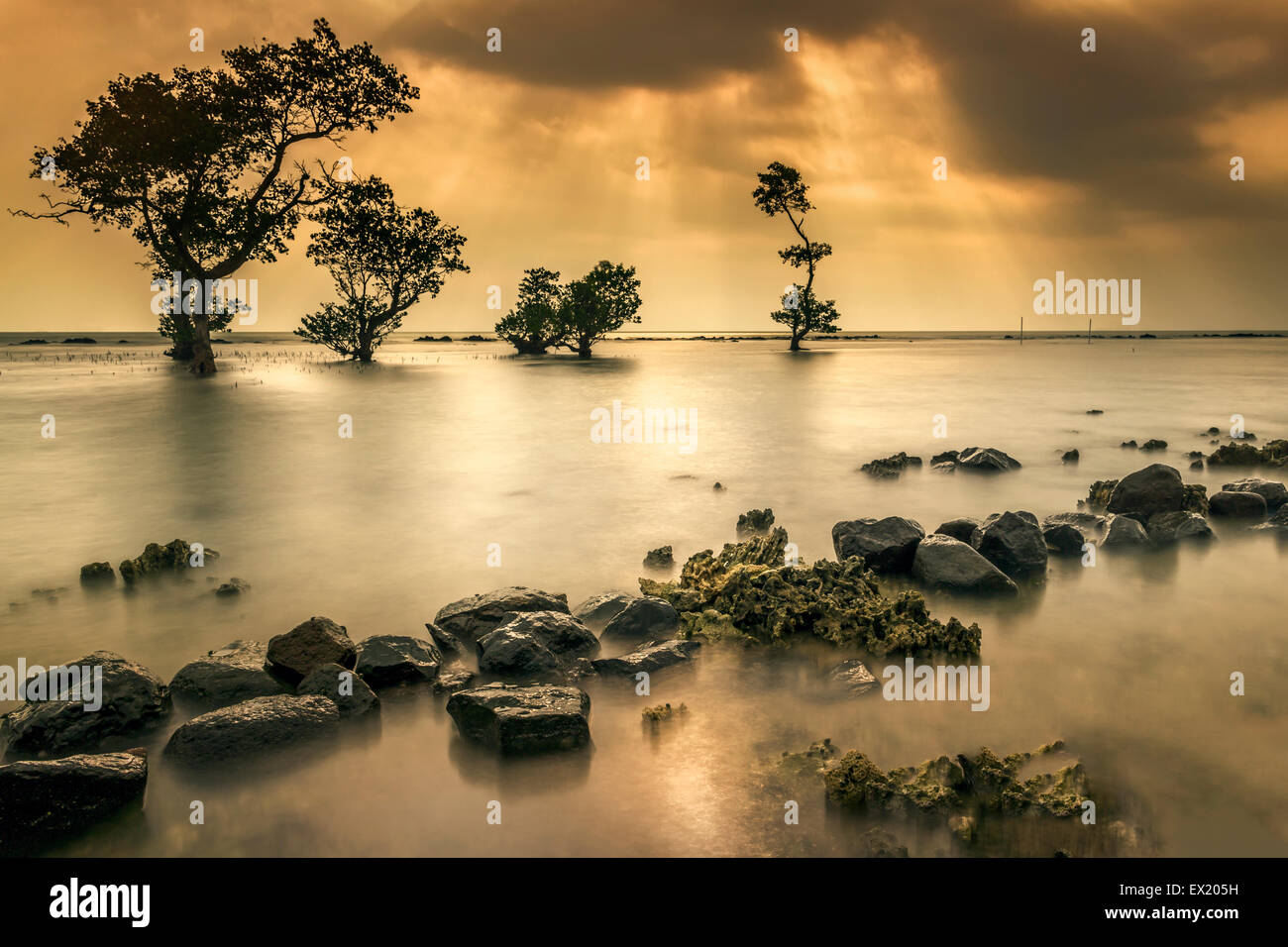 The noon beach hi-res stock photography and images - Alamy