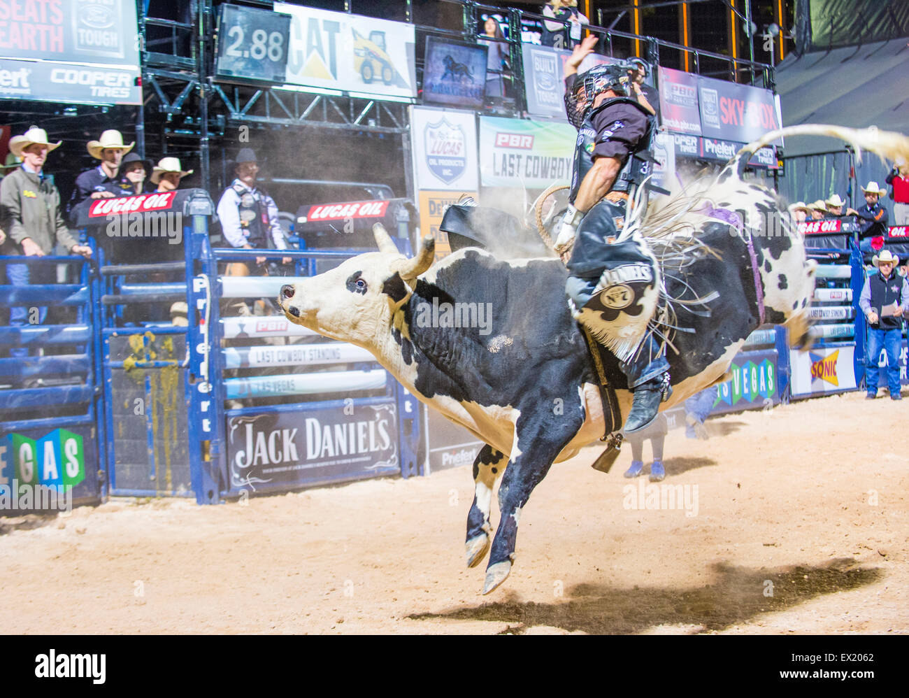 Cowboy Participating in a Bull riding Competition at the Las Cowboy ...