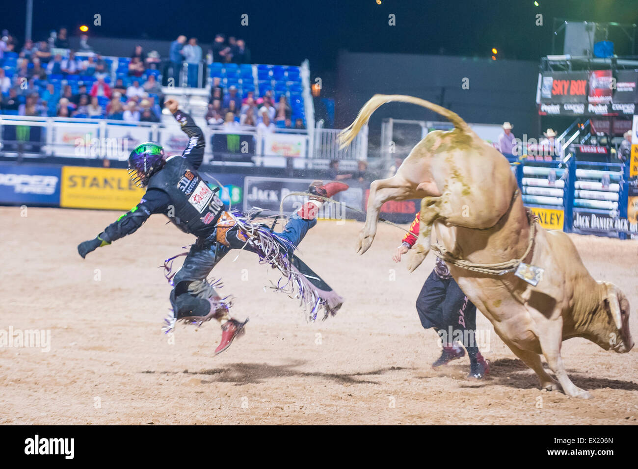Cowboy Participating in a Bull riding Competition at the Las Cowboy ...