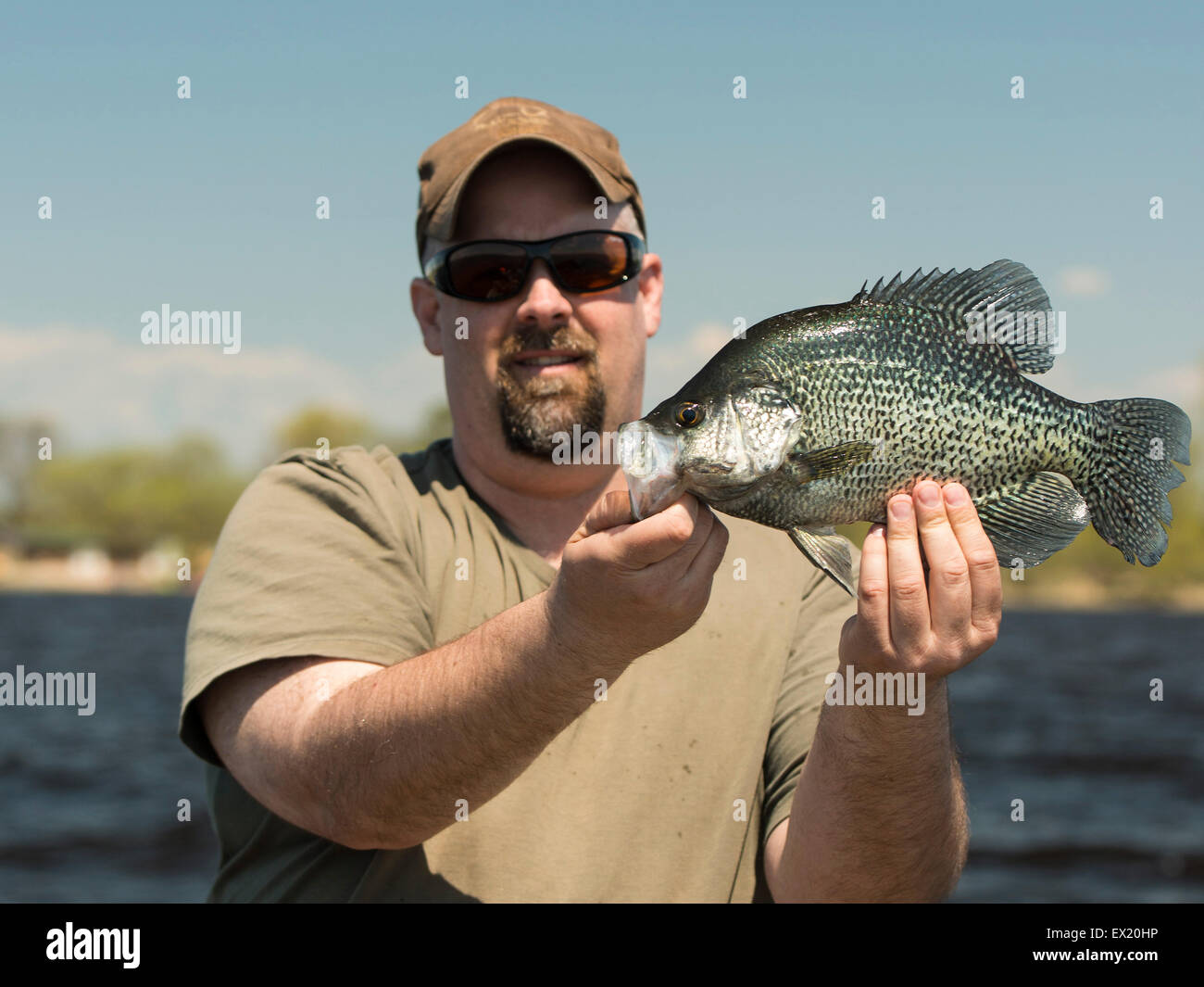 Large Black Crappie Stock Photo - Alamy