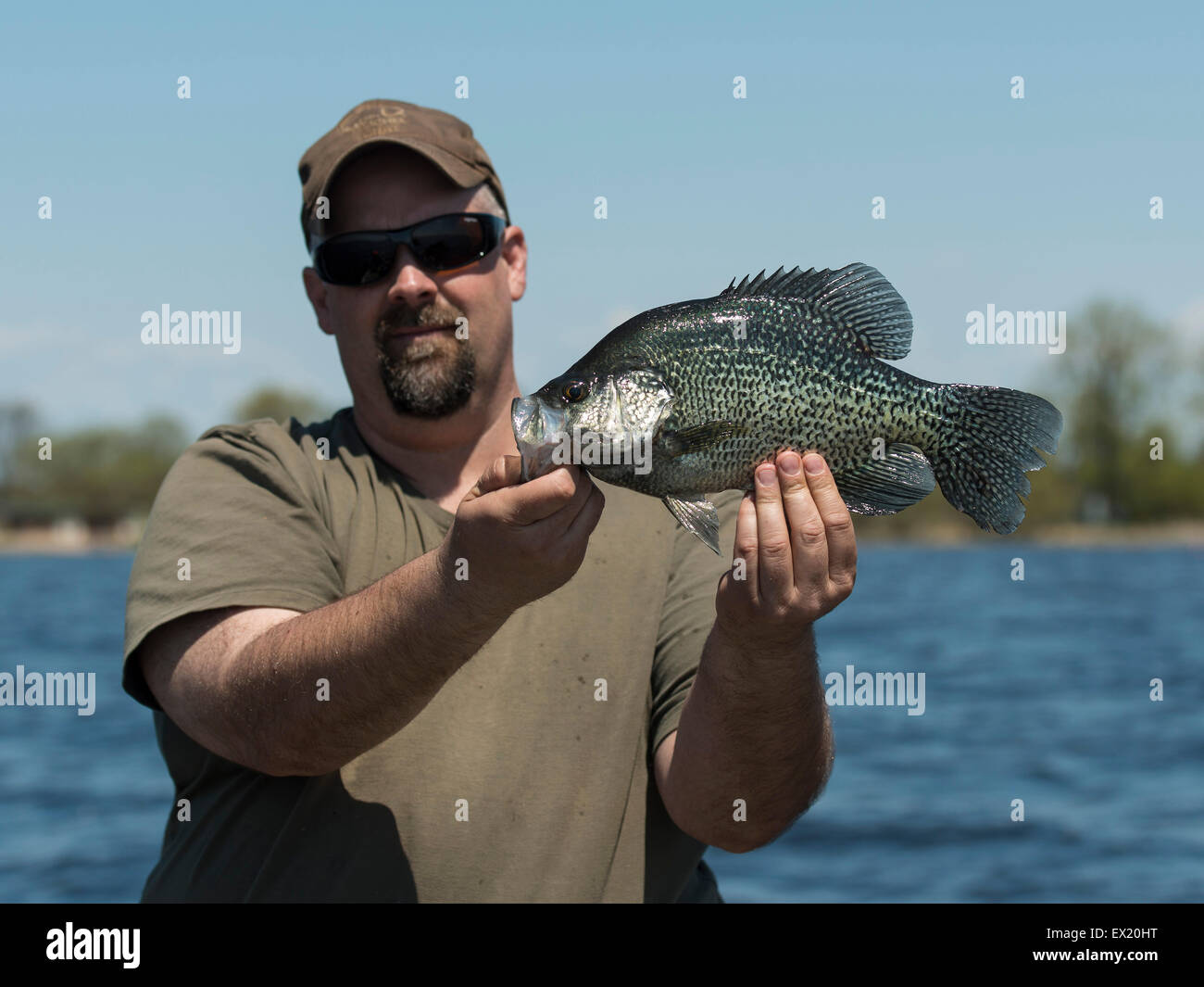 Large Black Crappie Stock Photo - Alamy