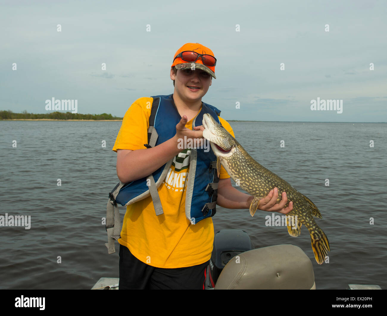 Northern pike minnesota hi-res stock photography and images - Alamy