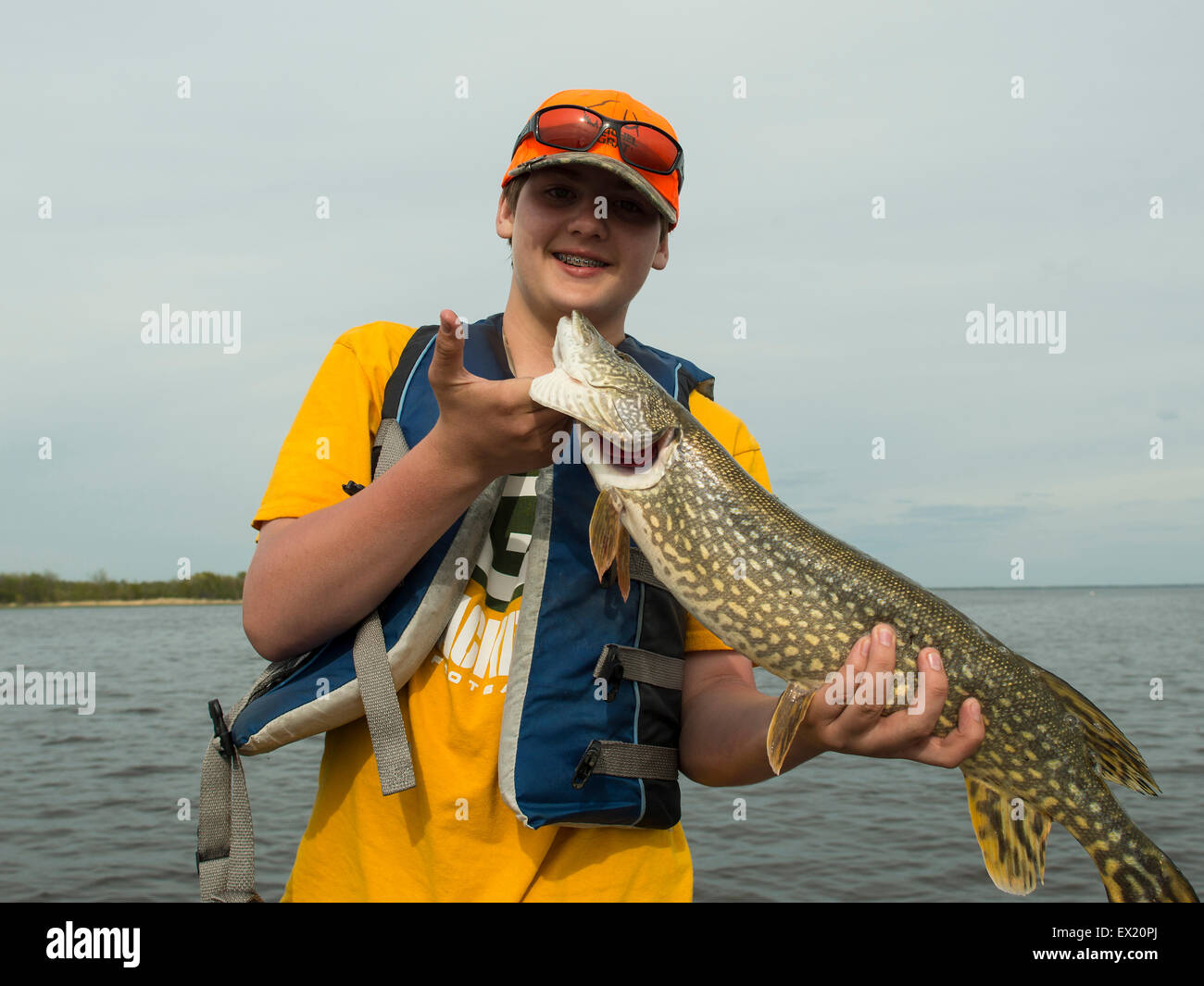 Northern pike minnesota hi-res stock photography and images - Alamy