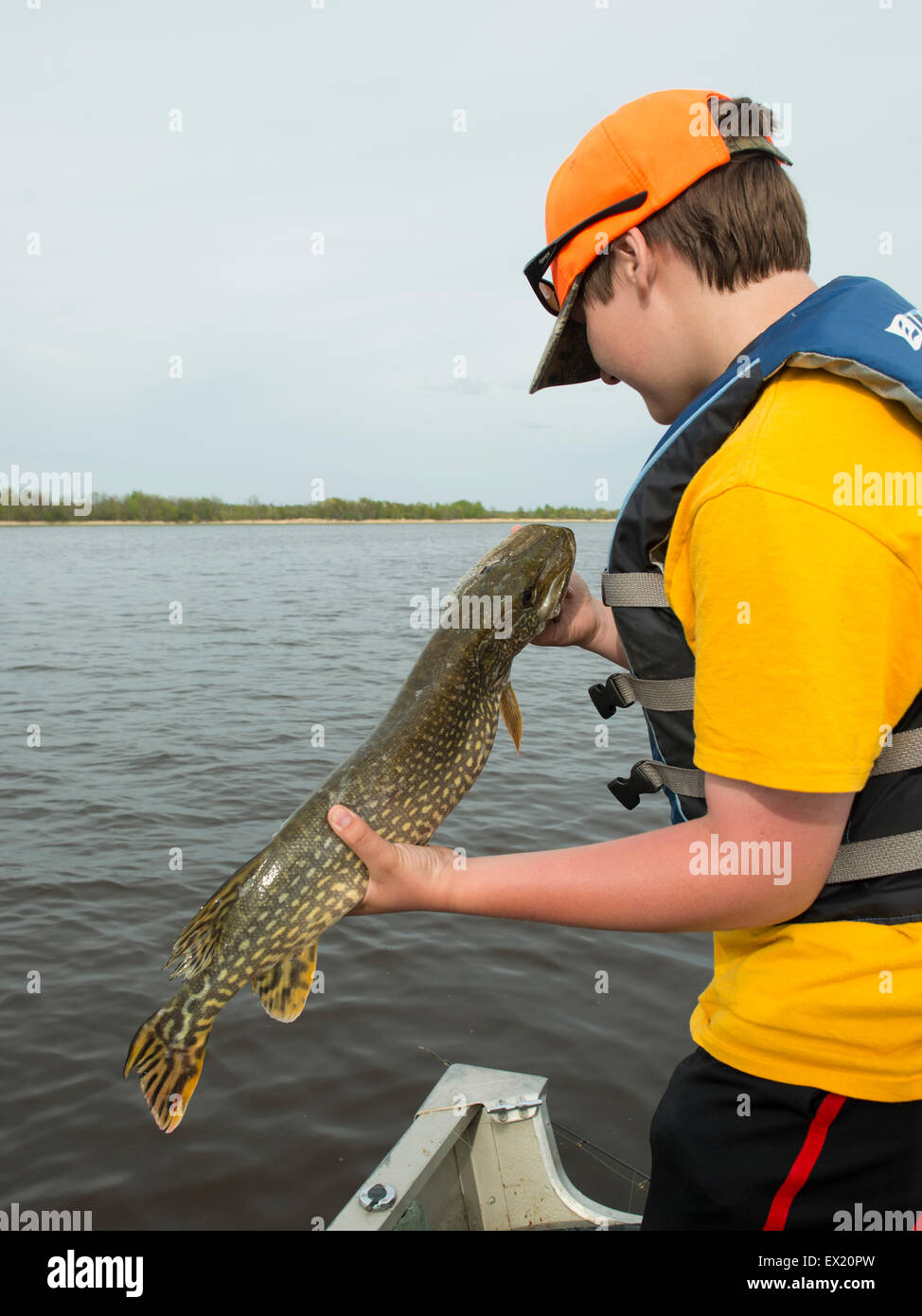 Northern pike minnesota hi-res stock photography and images - Alamy