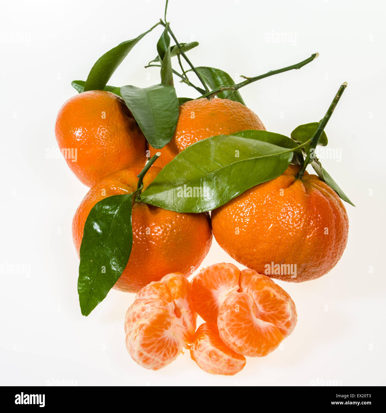 Tangelos with green leaves isolated on white Stock Photo - Alamy