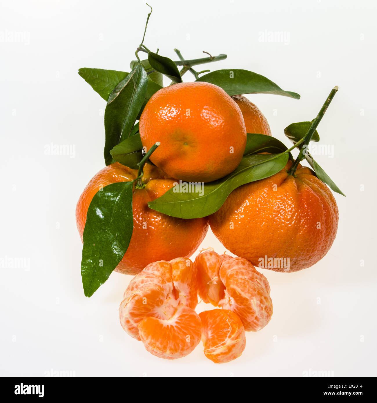 Tangelos with green leaves isolated on white Stock Photo - Alamy
