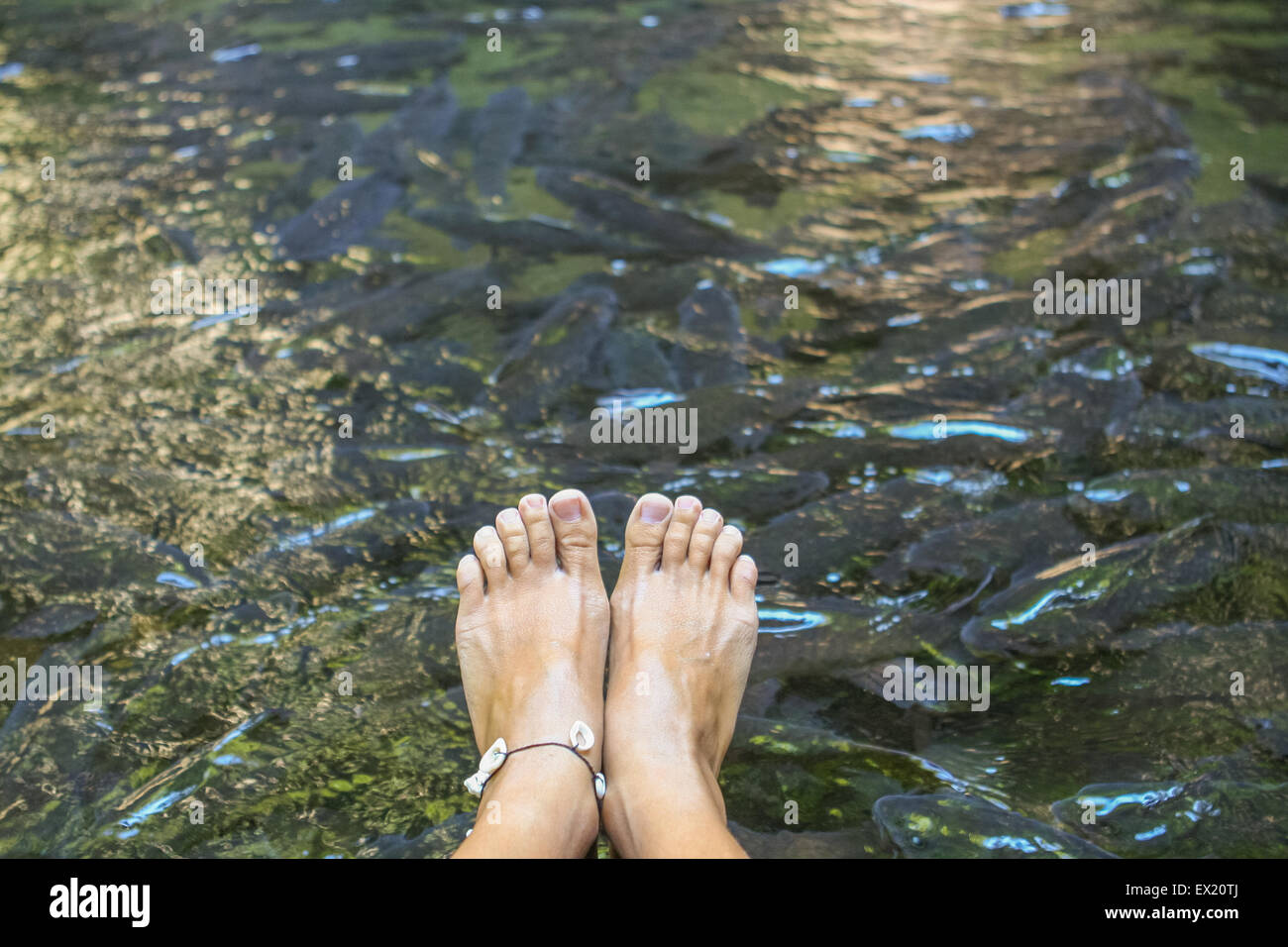 Young woman's feet infront of the water with many fish Stock Photo - Alamy