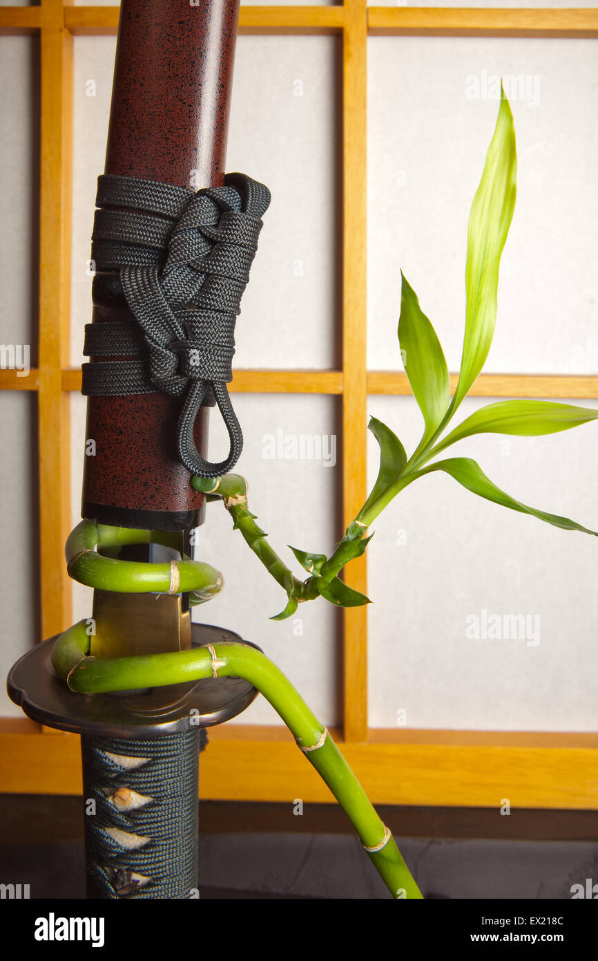Bamboo shoot growing around a japanese samurai sword Stock Photo - Alamy