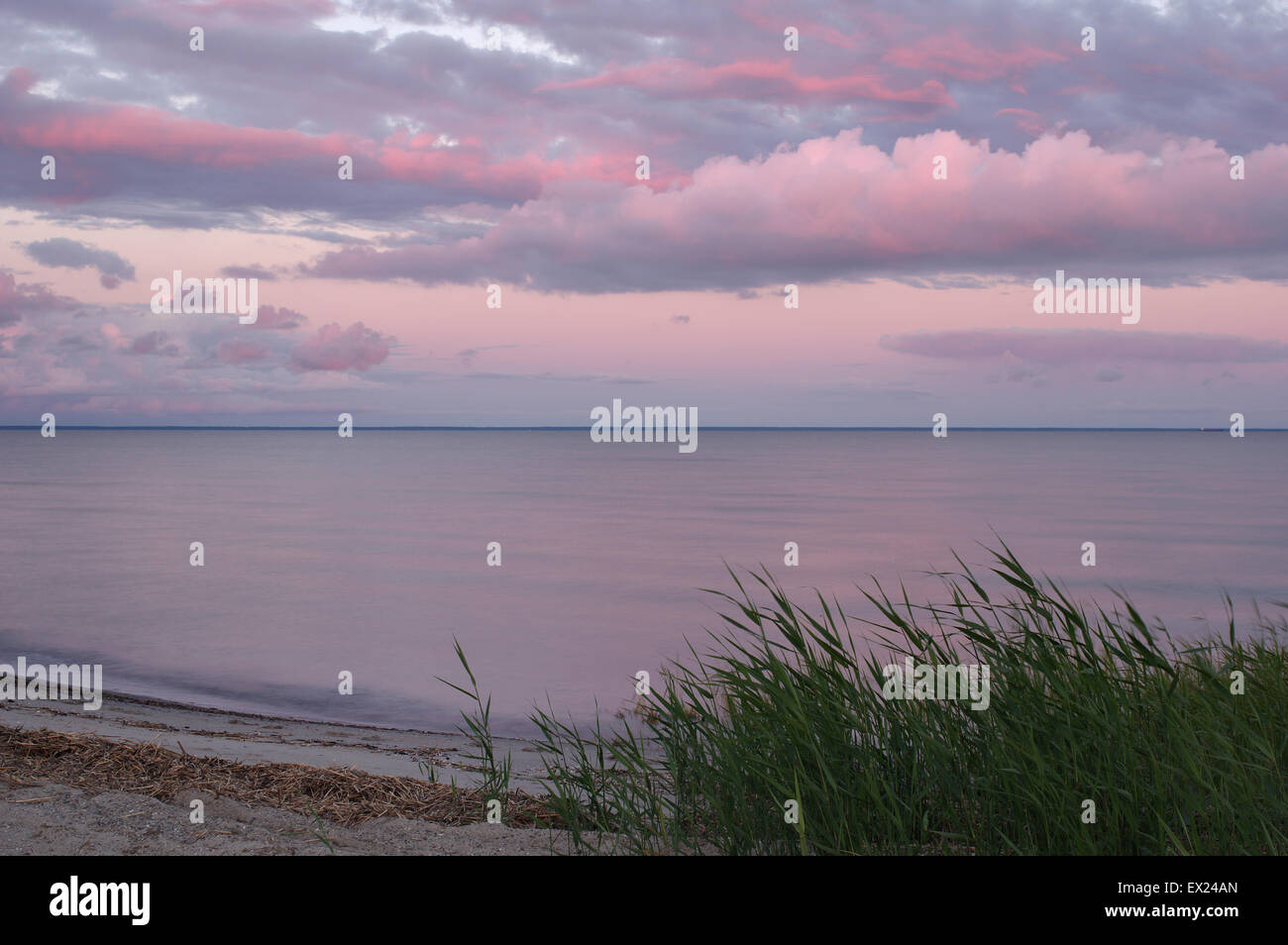 Landscape of estonia hi-res stock photography and images - Alamy