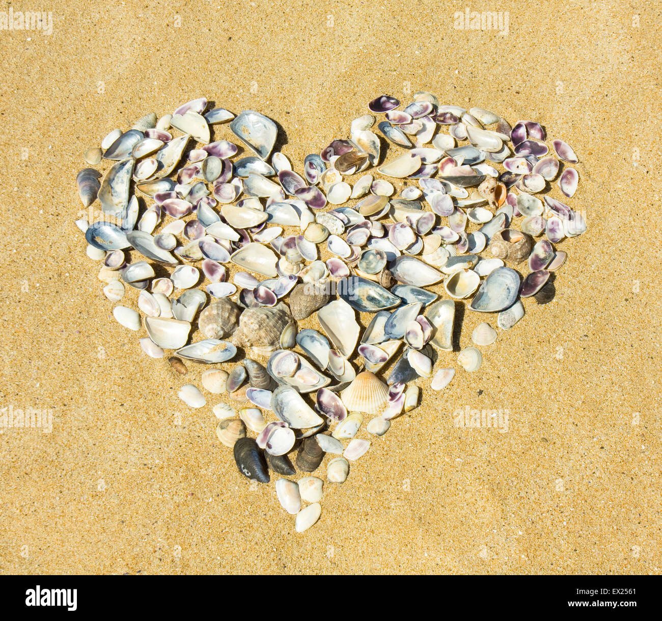 Heart made shells on beach hi-res stock photography and images - Alamy