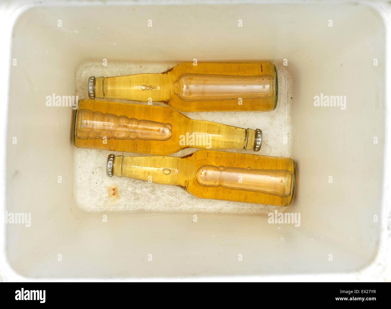 A close up shot of an Australian style esky Stock Photo - Alamy