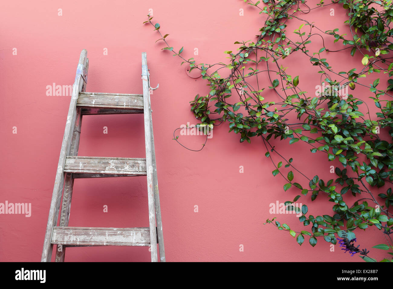 Wooden ladder against wall hi-res stock photography and images - Alamy