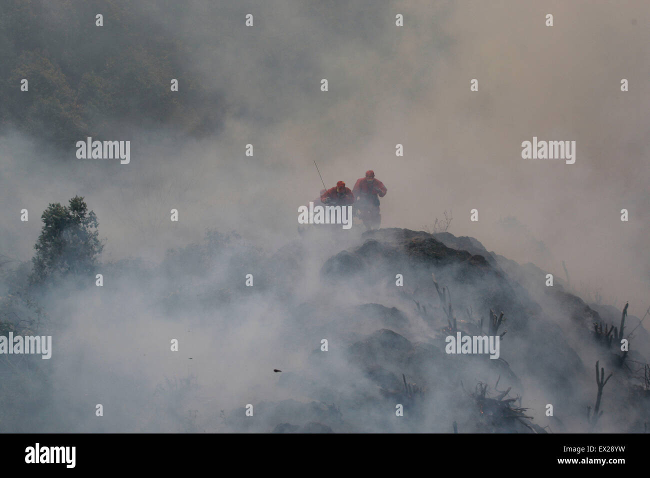 Firefighters try to put out fire at the spot of forest fire in Luliang ...