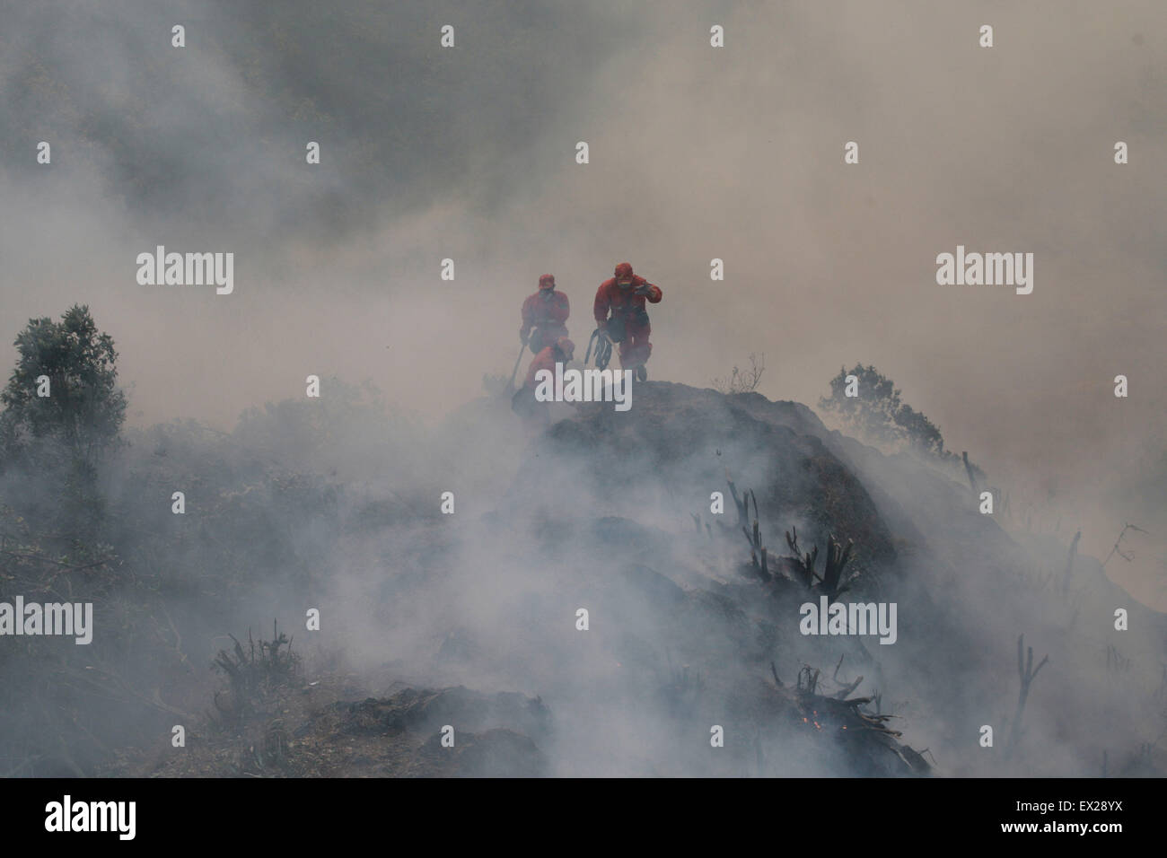Firefighters try to put out fire at the spot of forest fire in Luliang ...